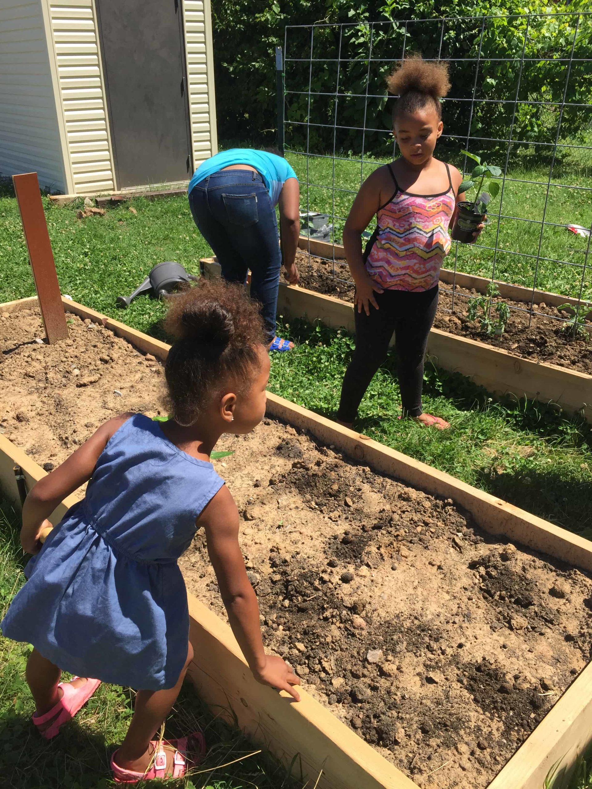 Our Garden Programs 'teach children and teens how to provide for ...